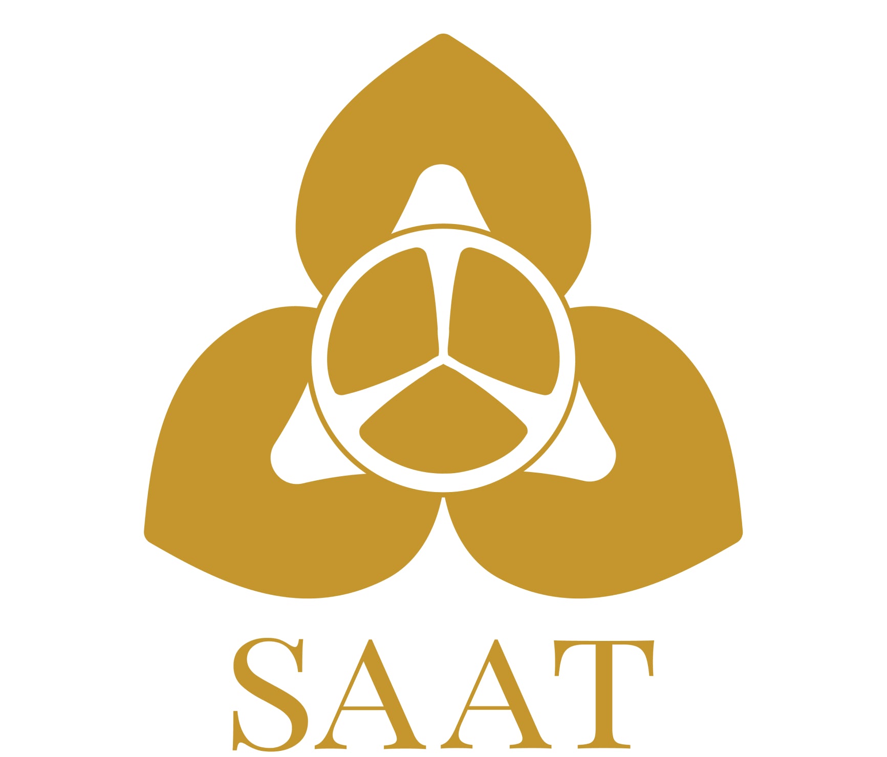 SAAT™ Skincare - Spreading Beauty™ – SAHT™